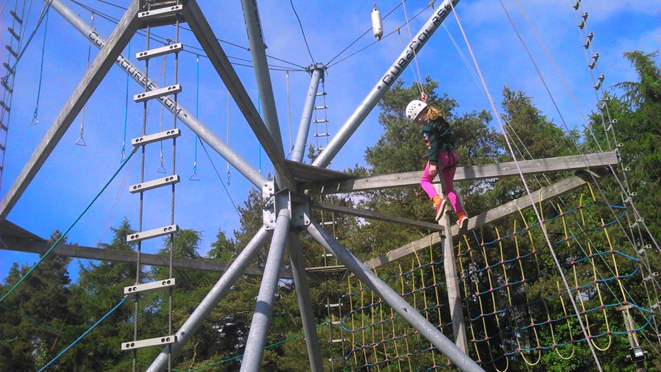 The Scouting Programme | 1st Hillsborough Scout Group